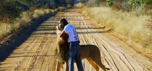 Your Guide to get to know the Quran – The Amazing Quran